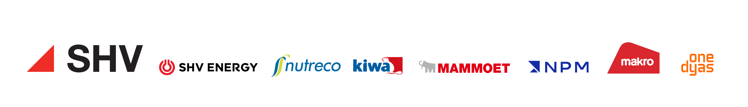 About us | NPM Capital