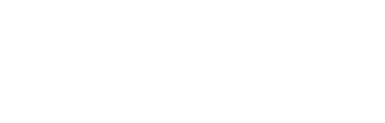 Startseite | NPM Capital