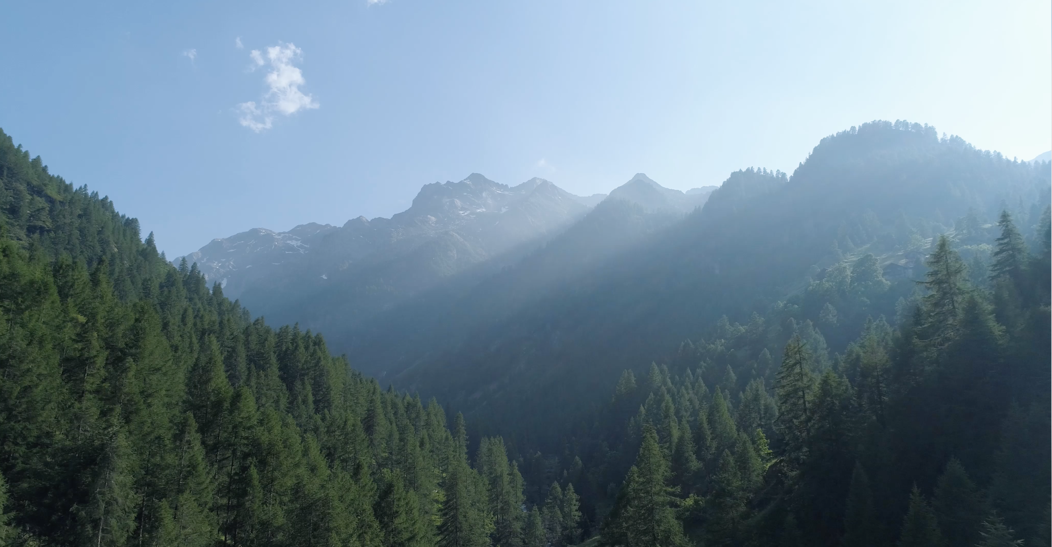 Ohpen collaborates with Cognizant to target the international mortgage ...